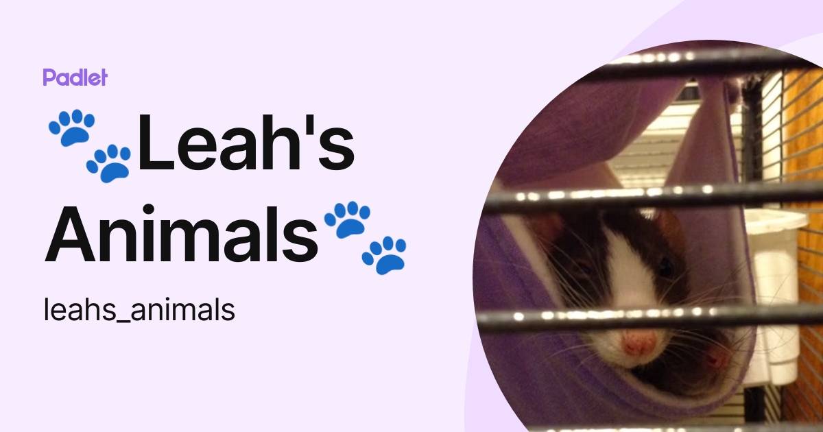 🐾Leah's Animals🐾 (leahs_animals) profile | Padlet