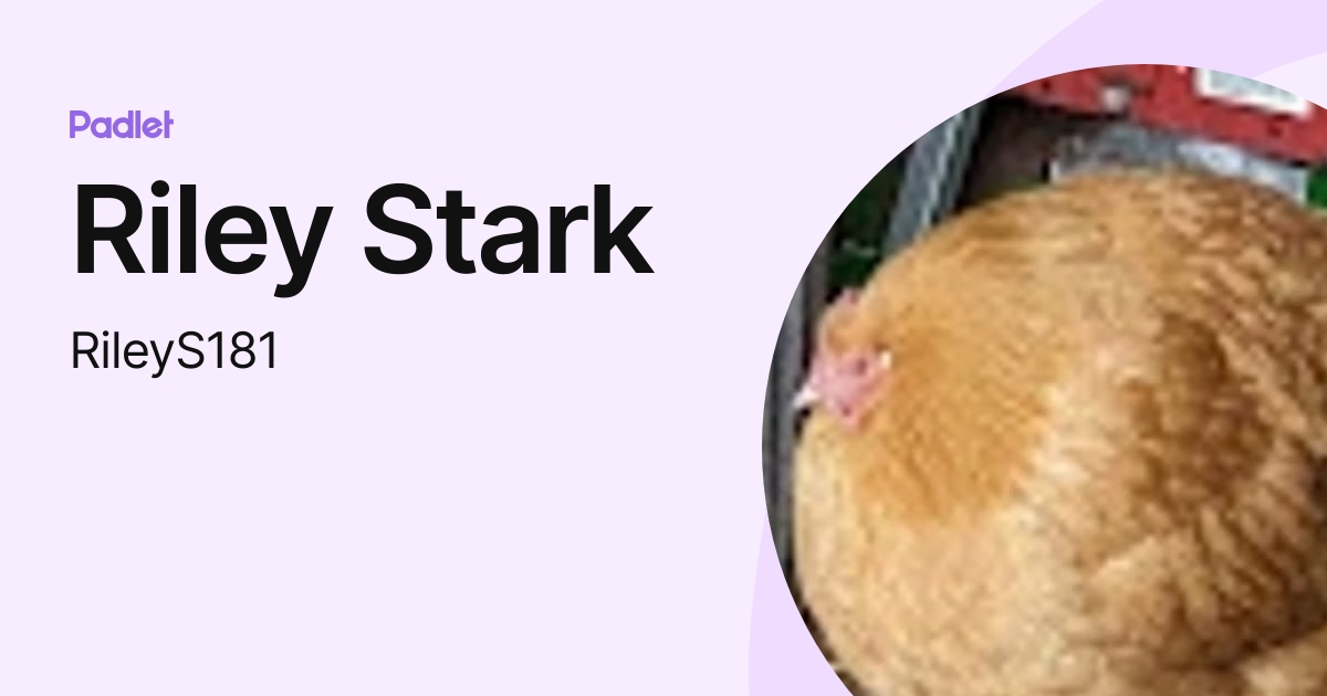 Riley Stark (RileyS181) profile | Padlet