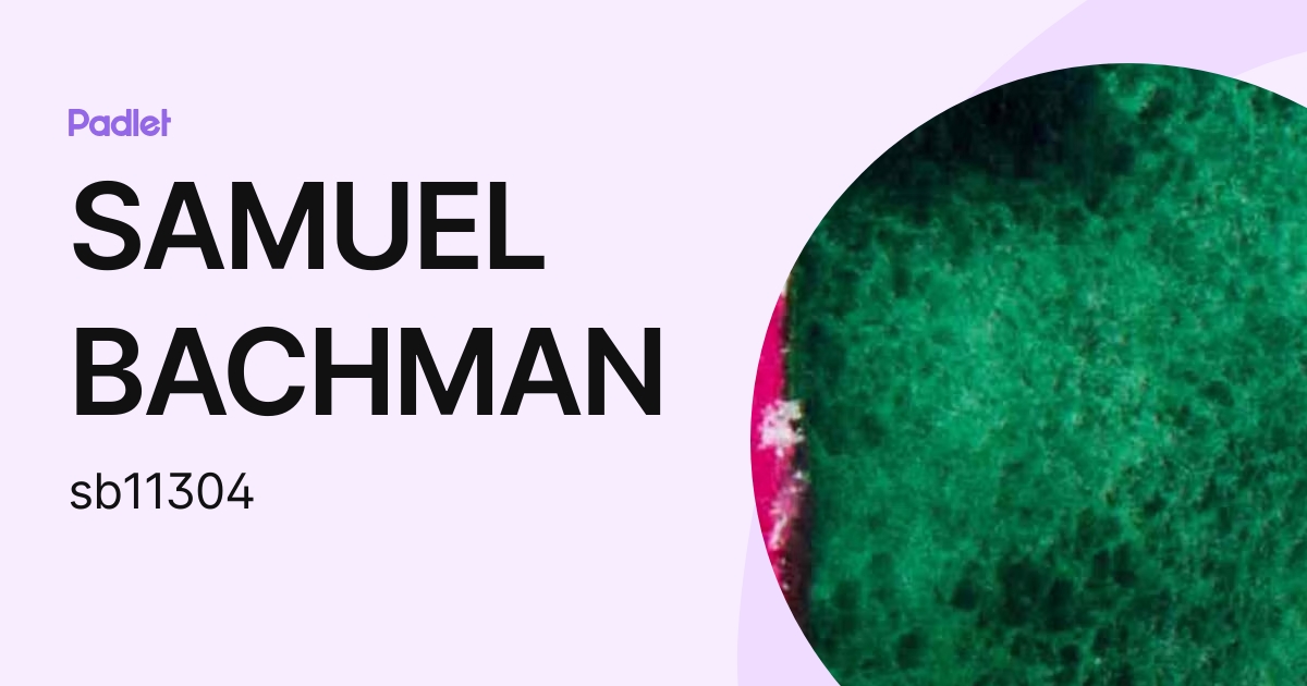 SAMUEL BACHMAN (sb11304) profile | Padlet