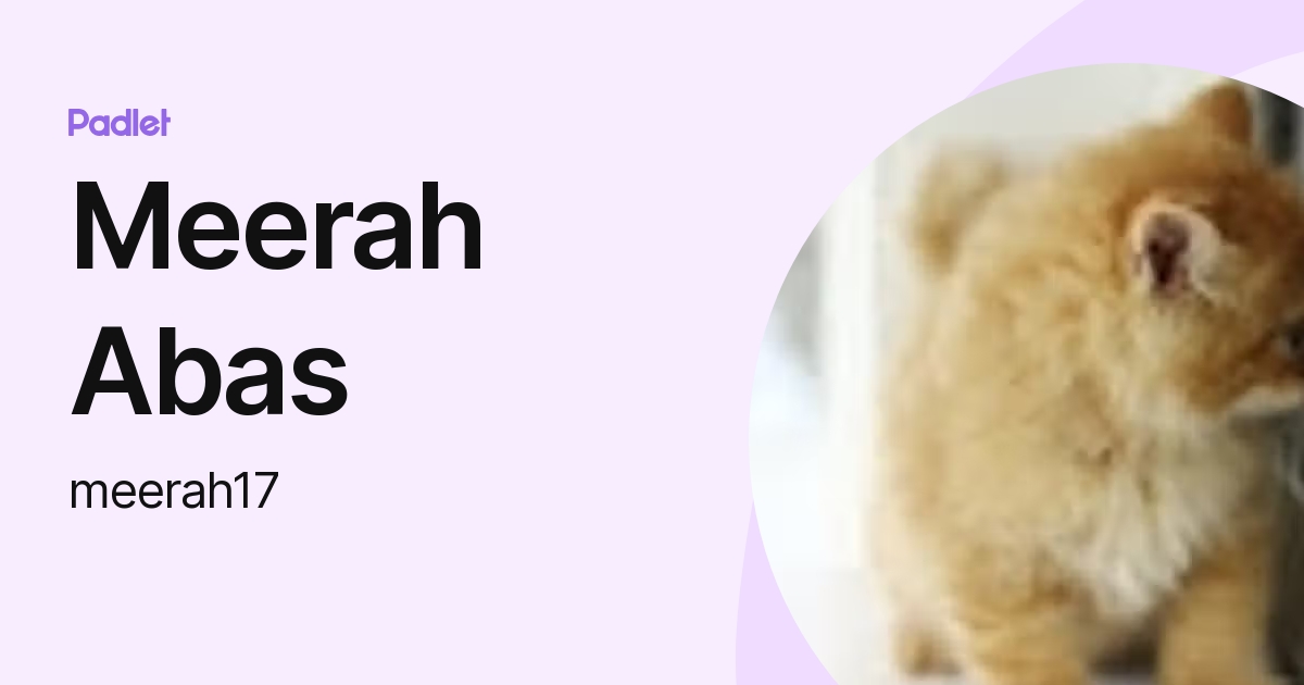 Meerah Abas (meerah17) profile | Padlet