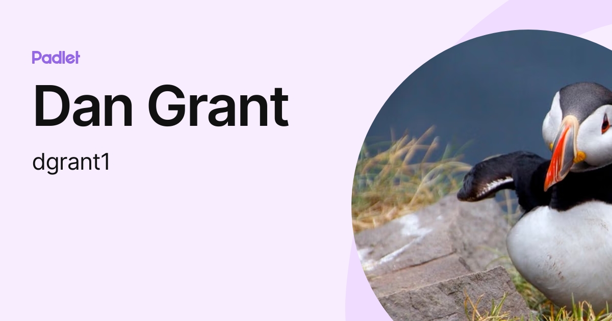Dan Grant (dgrant1) profile | Padlet