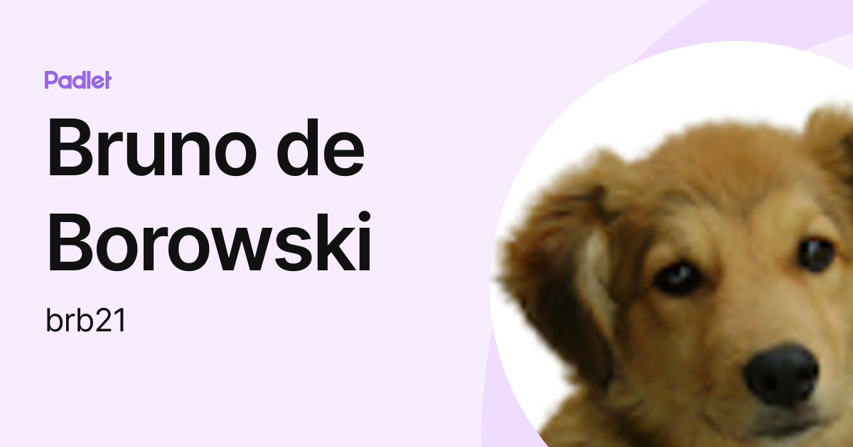 Bruno de Borowski (brb21) perfil | Padlet