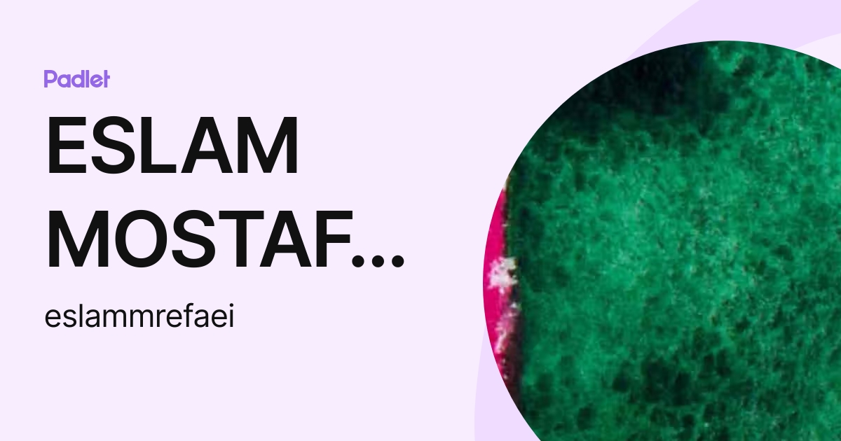 ESLAM MOSTAFA ABDELMONEIM MOHAMED REFAEI (eslammrefaei) profile | Padlet