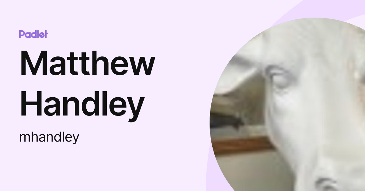 Matthew Handley (mhandley) profile | Padlet
