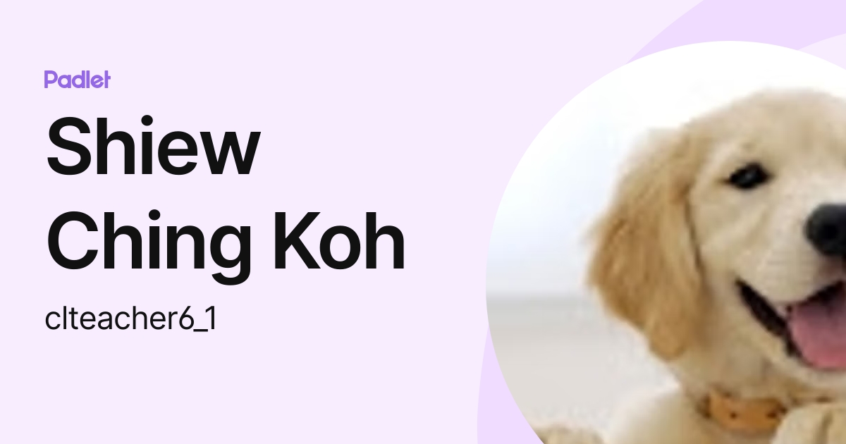 Shiew Ching Koh (koh_shiew_ching) profile | Padlet