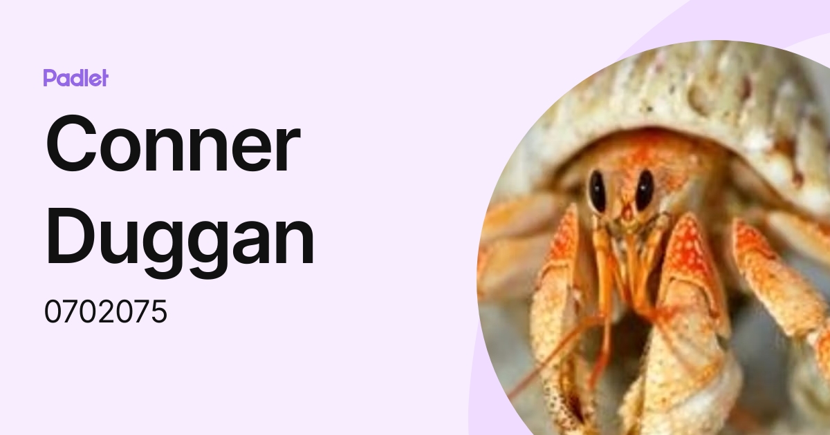 Conner Duggan (0702075) profile | Padlet