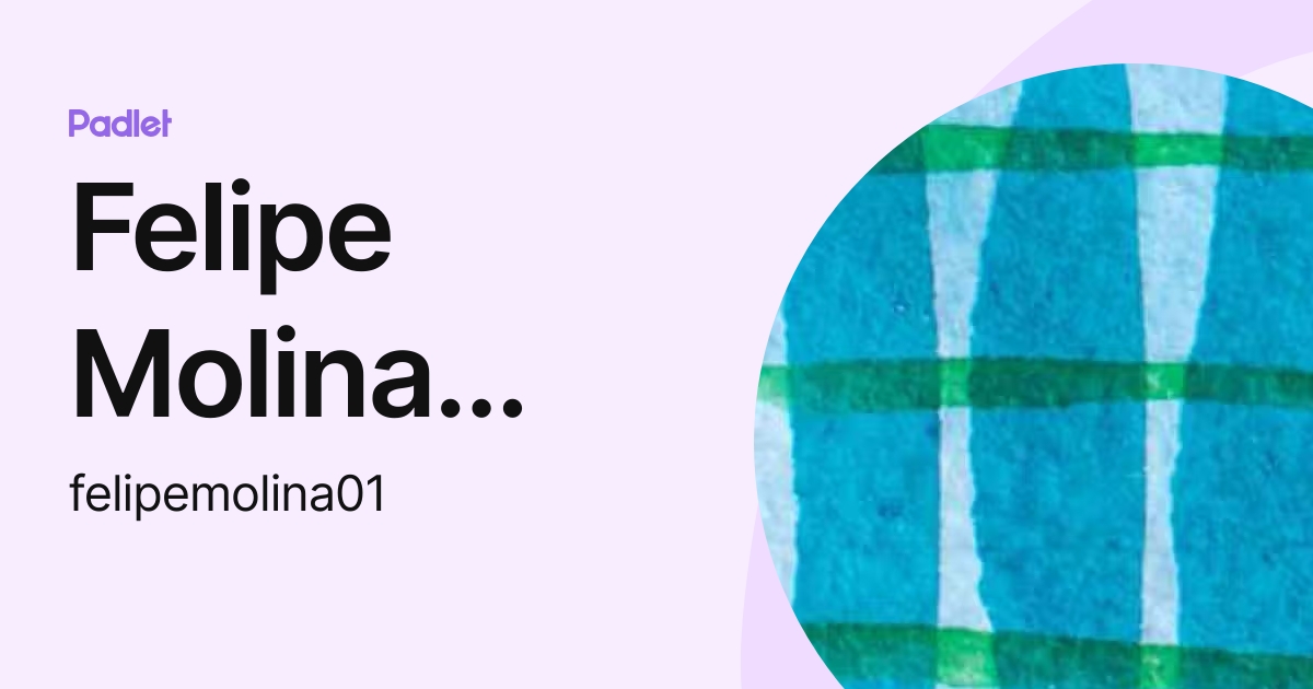 Felipe Molina Montecinos (felipemolina01) profile | Padlet