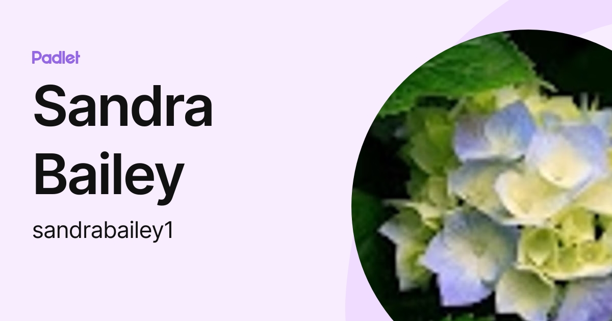 Sandra Bailey (sandrabailey1) profile | Padlet