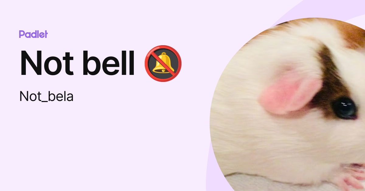 Not bell 🔕 (Not_bela) profile | Padlet