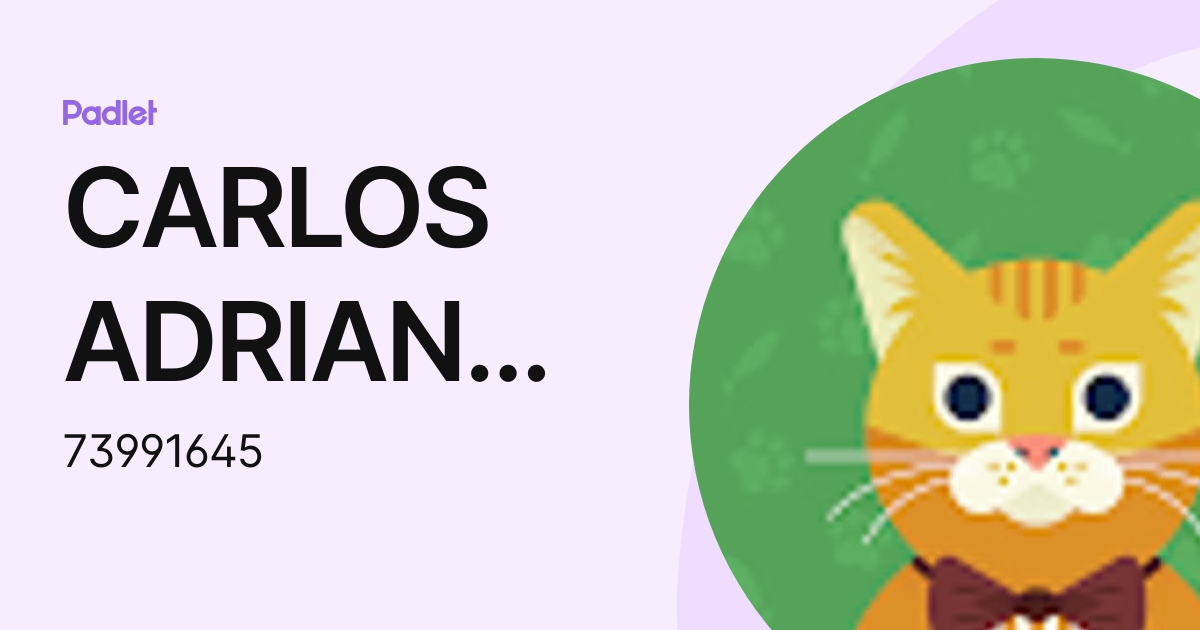 CARLOS ADRIAN VELIZ DE LA CRUZ (73991645) profile | Padlet