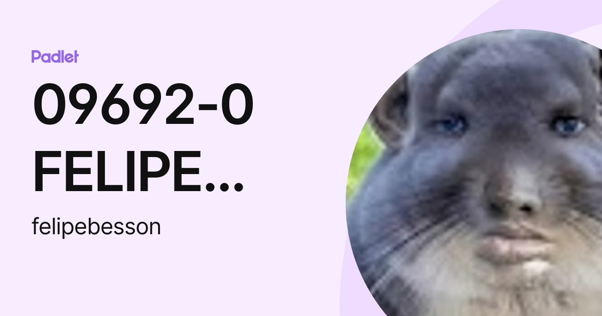 09692-0 FELIPE JACOB BESSON (felipebesson) profile | Padlet