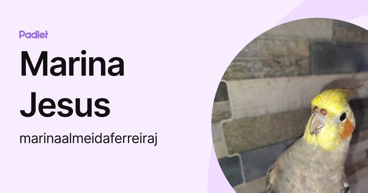 Marina Jesus (marinaalmeidaferreiraj) profile | Padlet