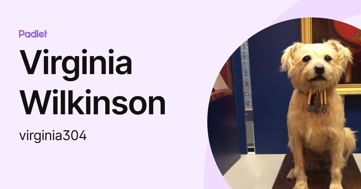 Virginia Wilkinson (virginia304) profile | Padlet