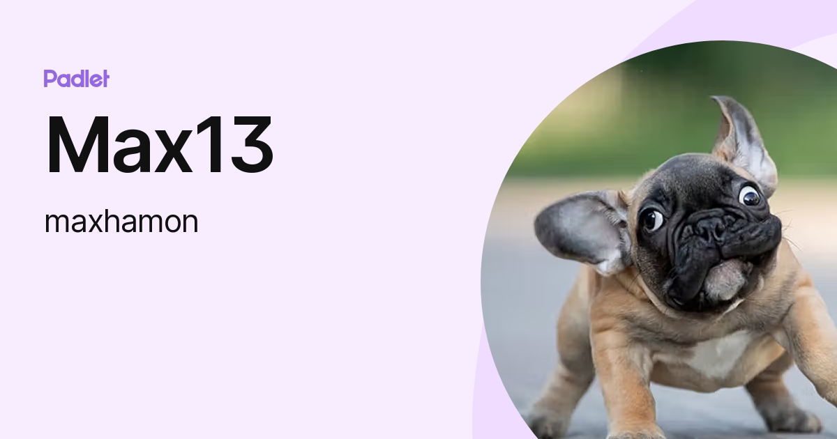 Max13 (maxhamon) profile | Padlet