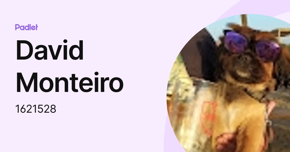 David Monteiro (1621528) profile | Padlet