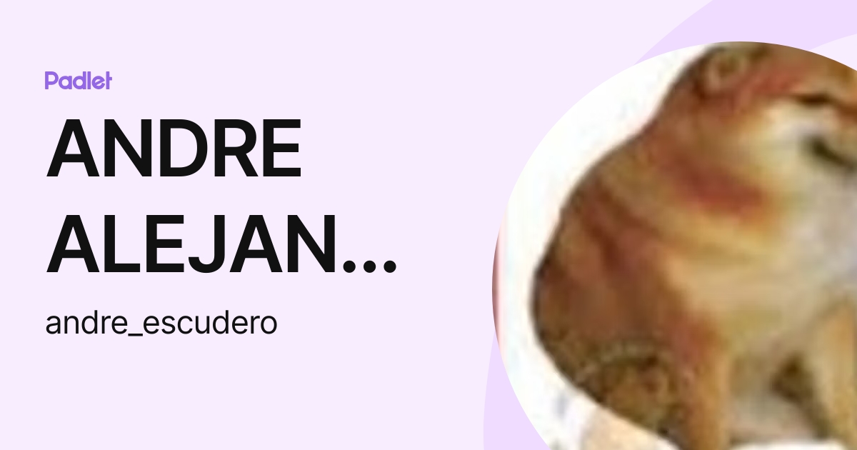 ANDRE ALEJANDRO ESCUDERO GÓMEZ (andre_escudero) profile | Padlet