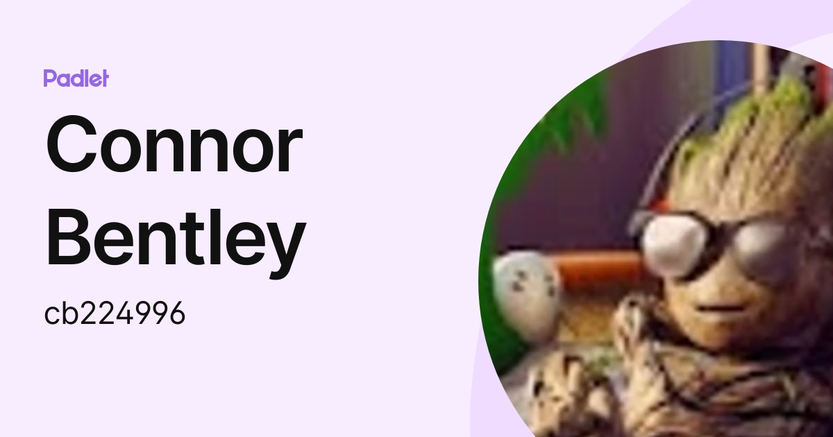 Connor Bentley (cb224996) profile | Padlet