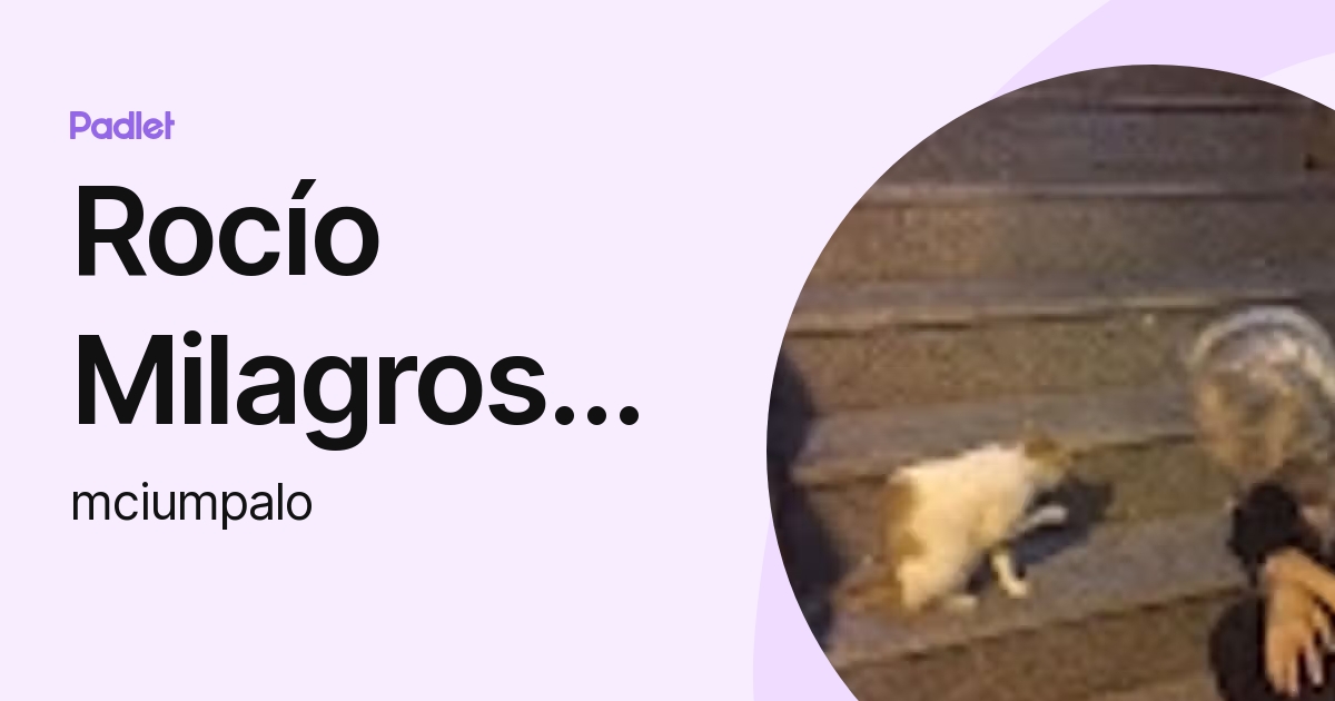 Rocío Milagros Ciumpalo (mciumpalo) profile | Padlet