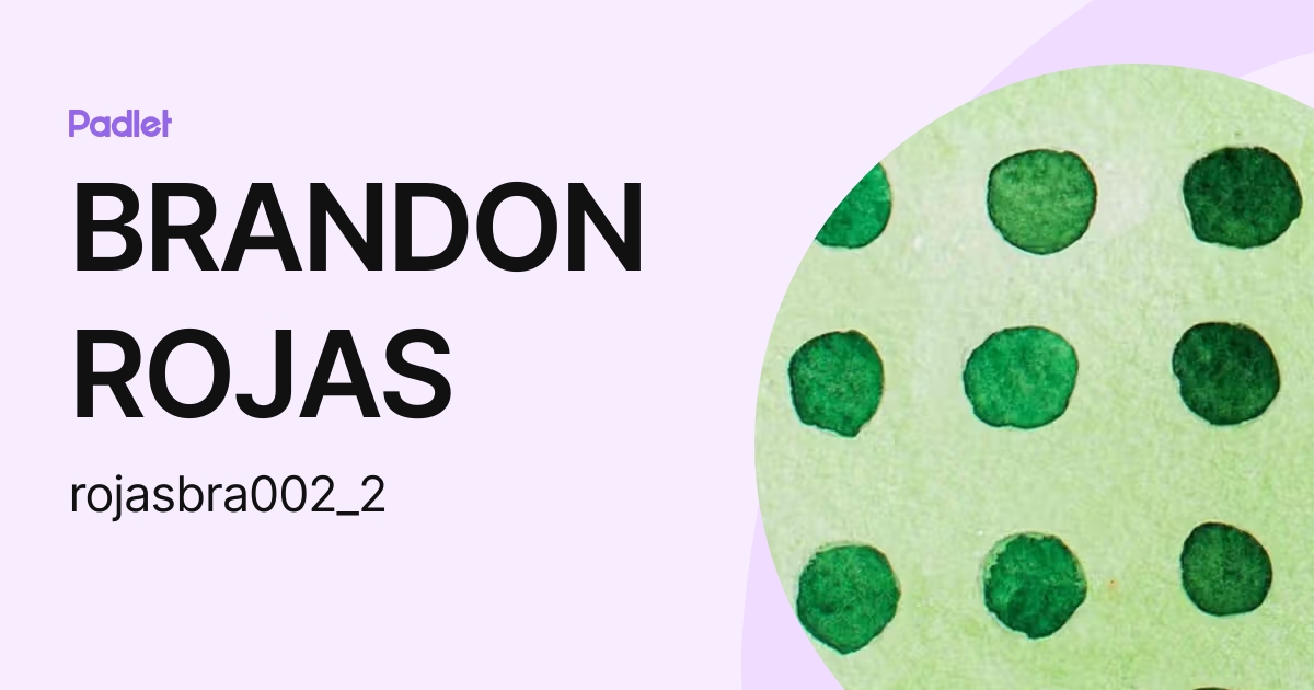 BRANDON ROJAS (rojasbra0021) profile | Padlet