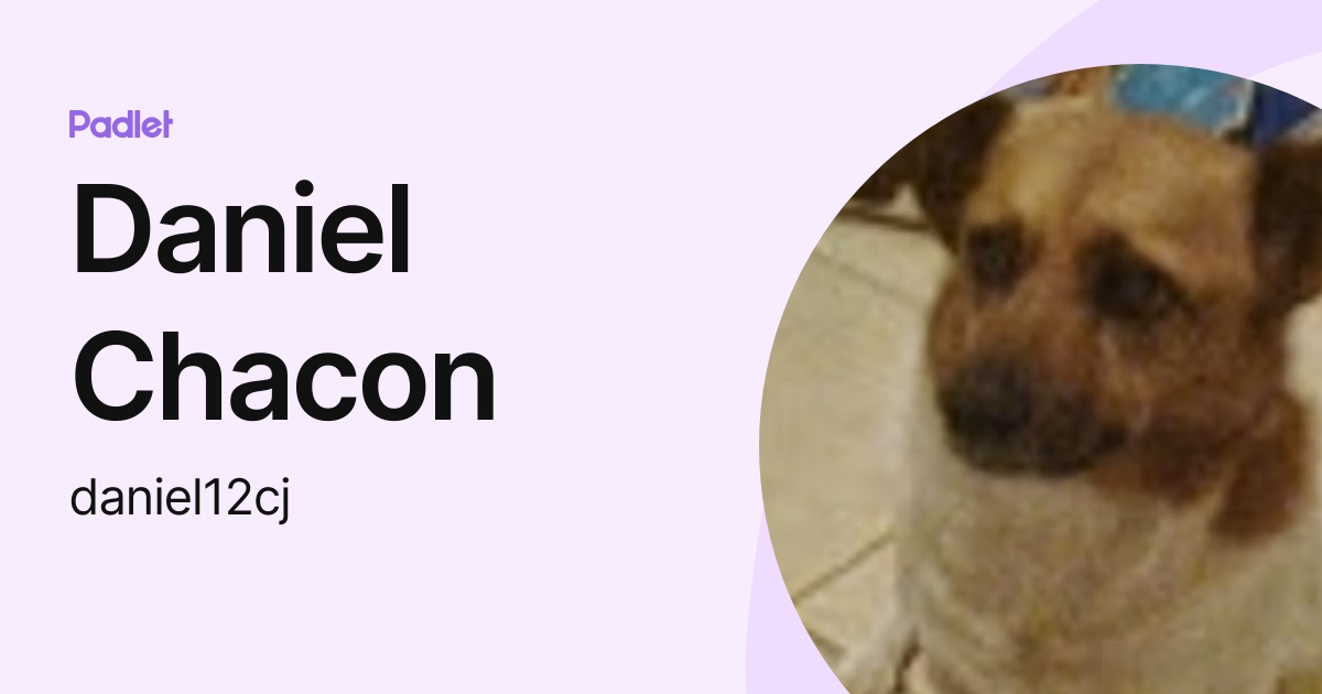 Daniel Chacon (daniel12cj) profile | Padlet