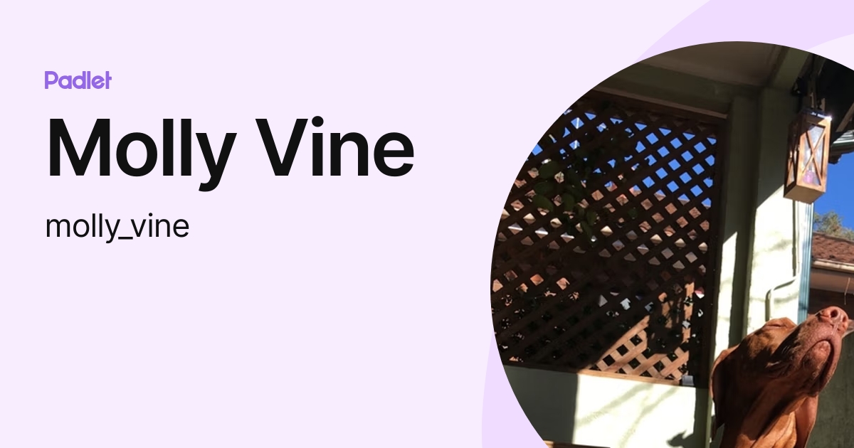 Molly Vine (molly_vine) profile | Padlet