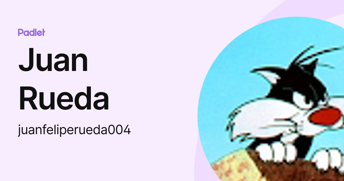 Juan Rueda (juanfeliperueda004) profile | Padlet