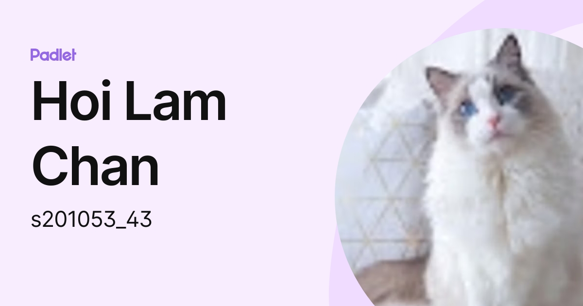 Hoi Lam Chan (s20105311) profile | Padlet