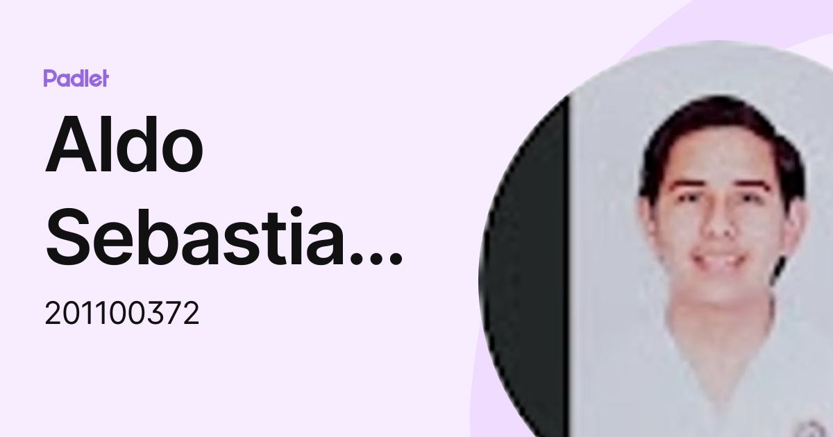 Aldo Sebastian OTOYA LOPEZ (201100372) profile | Padlet