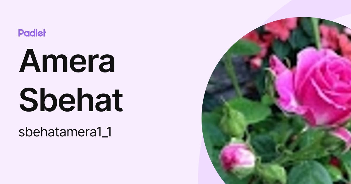 Amera Sbehat (sbehatamera) profile | Padlet