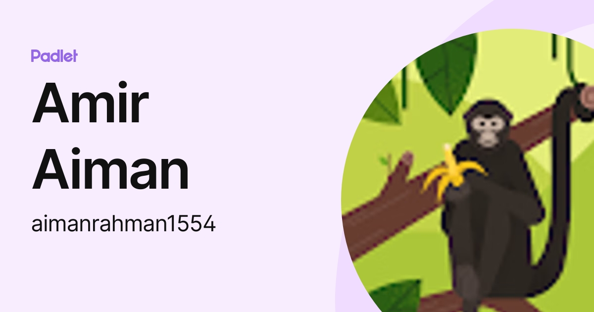 Amir Aiman (aimanrahman1554) profile | Padlet