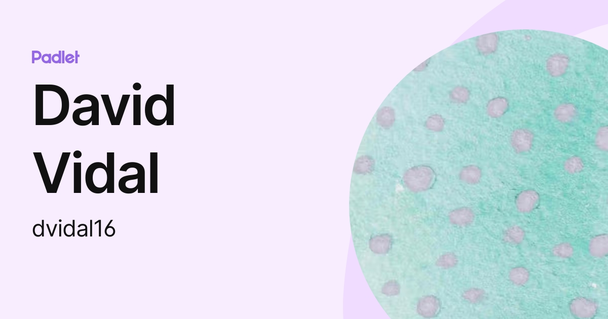 David Vidal (dvidal16) profile | Padlet