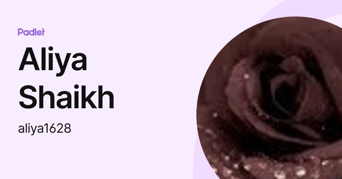 Aliya Shaikh (aliya1628) profile | Padlet