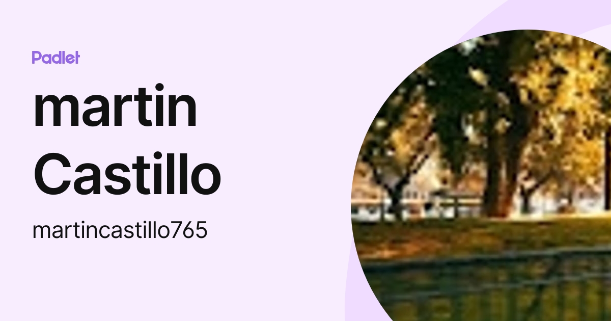 martin Castillo (martincastillo765) profile | Padlet