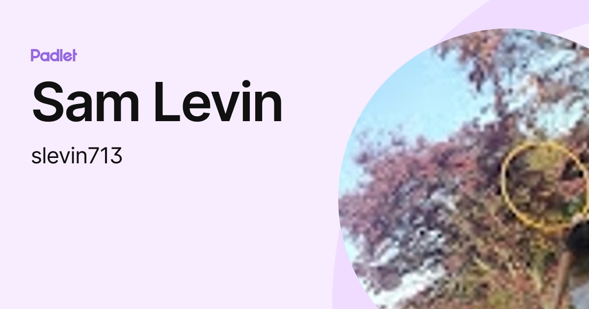 Sam Levin (slevin713) profile | Padlet