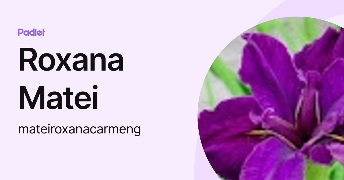 Roxana Matei (mateiroxanacarmeng) profile | Padlet