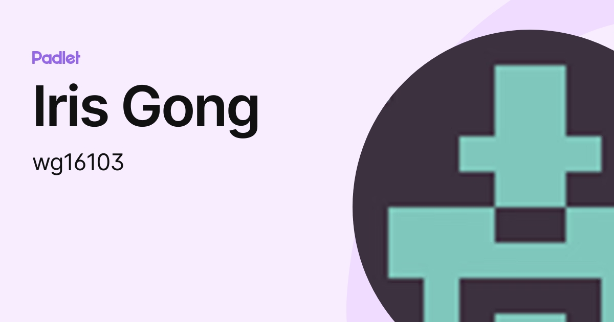 Iris Gong (wg16103) profile | Padlet