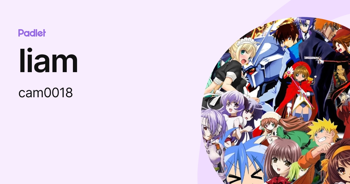 liam (cam0018) profile | Padlet