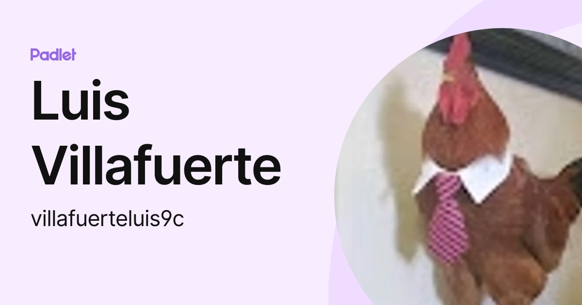 Luis Villafuerte (villafuerteluis9c) profile | Padlet