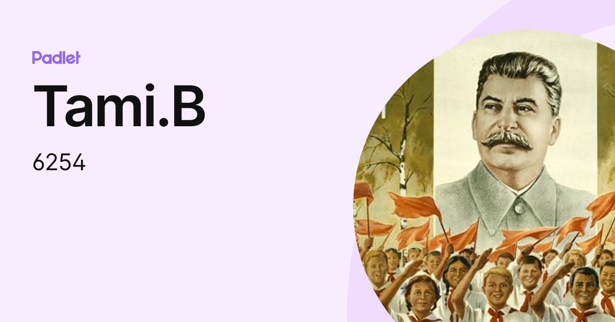 Tami B 6254 Profile Padlet