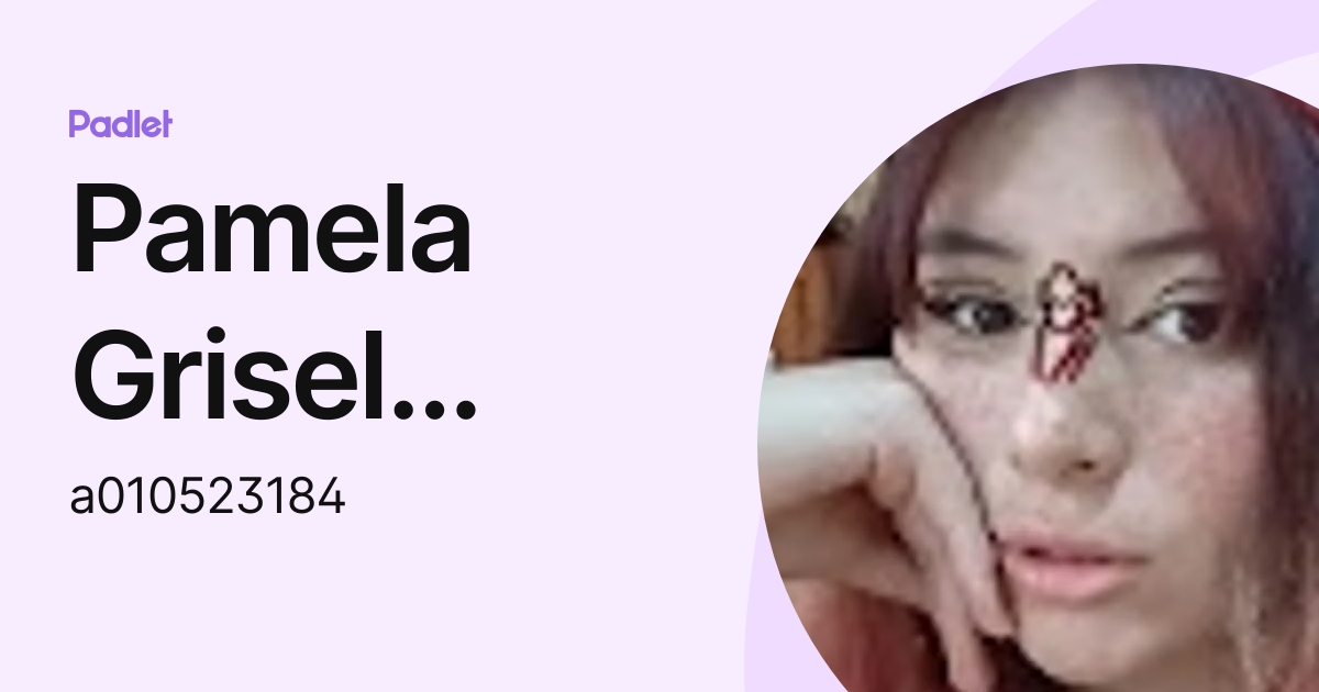 Pamela Grisel Hernández Gutiérrez (a010523184) profile | Padlet