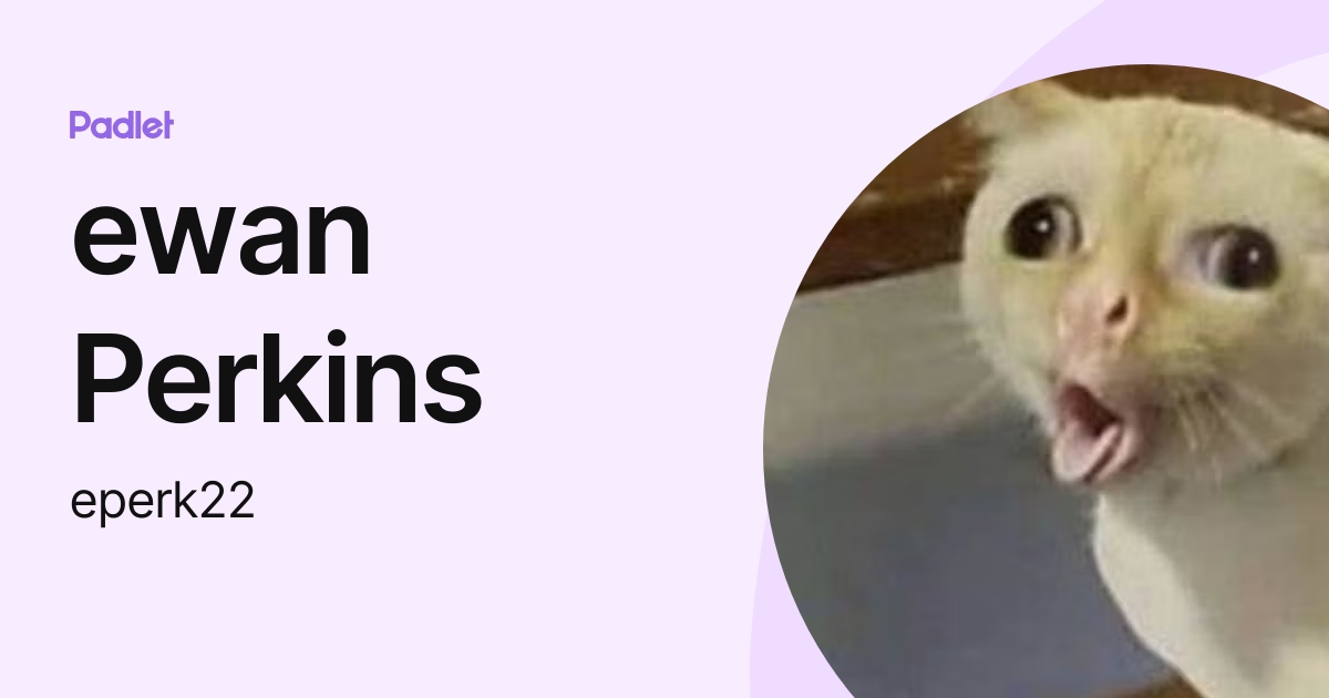 ewan Perkins (eperk22) profile | Padlet