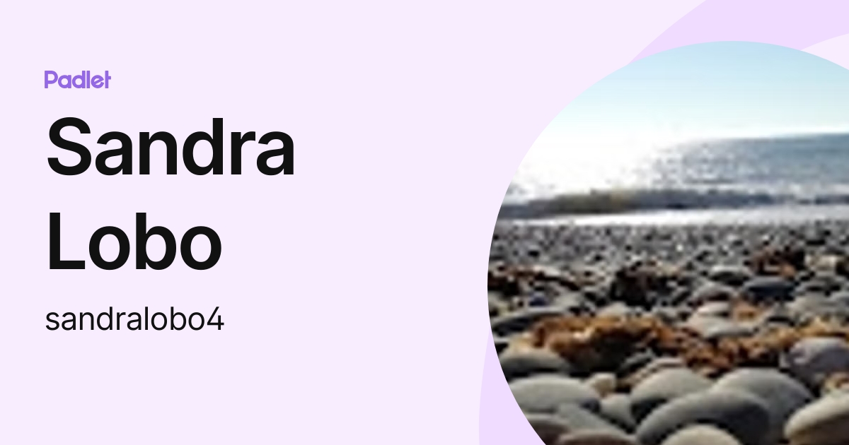 Sandra Lobo (sandralobo4) profile | Padlet