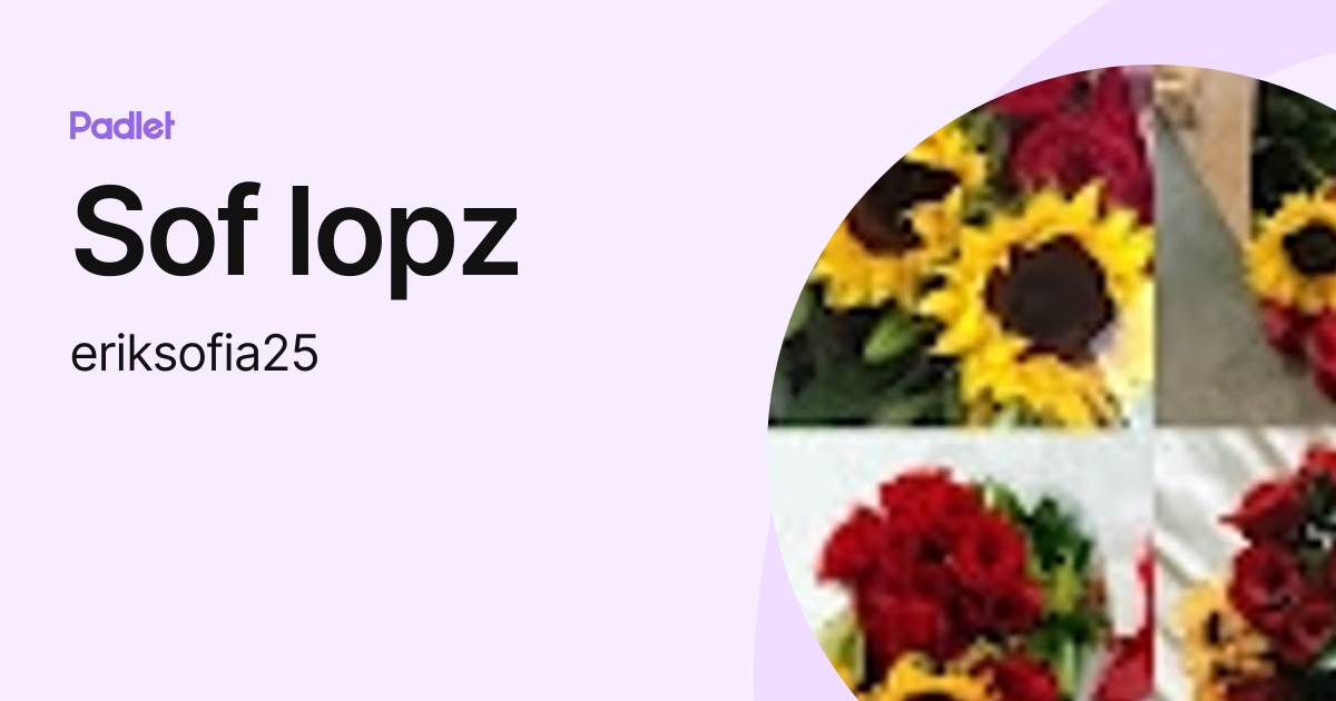 Sof lopz (eriksofia25) profile | Padlet