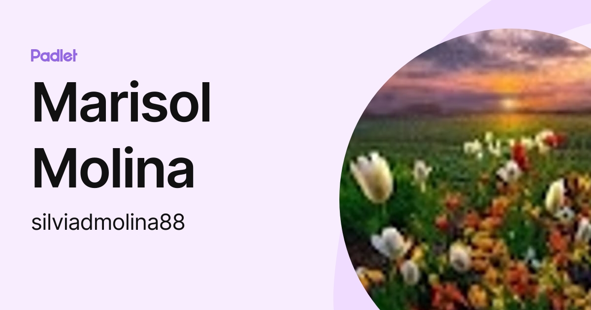Marisol Molina (silviadmolina88) profile | Padlet