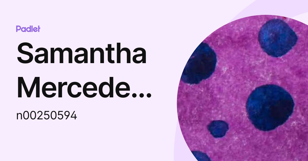 Samantha Mercedes Barboza Zelaya (n00250594) profile | Padlet