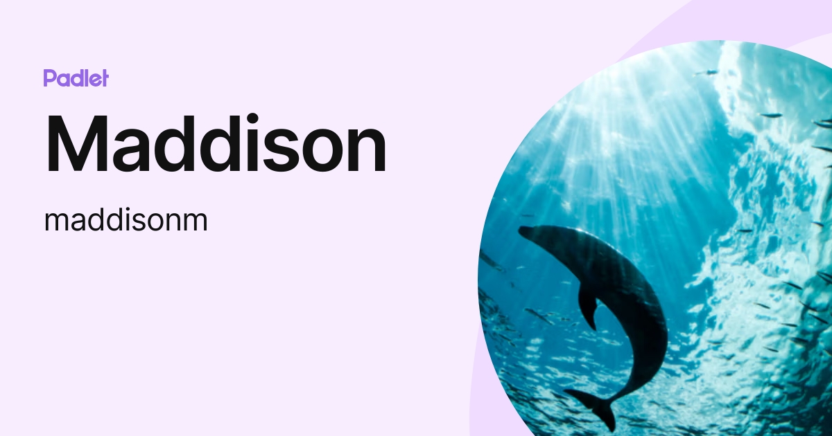 Maddison (maddisonm) profile | Padlet