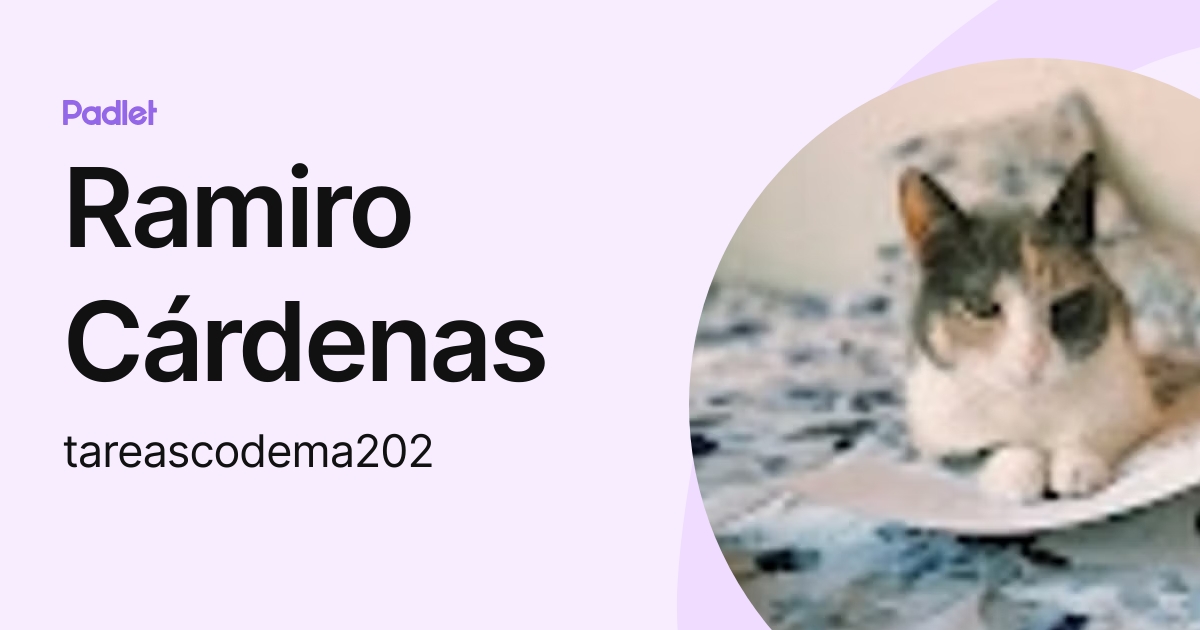 Ramiro Cárdenas (tareascodema202) profile | Padlet