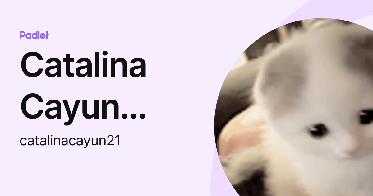 Catalina Cayun Perez (catalinacayun21) profile | Padlet