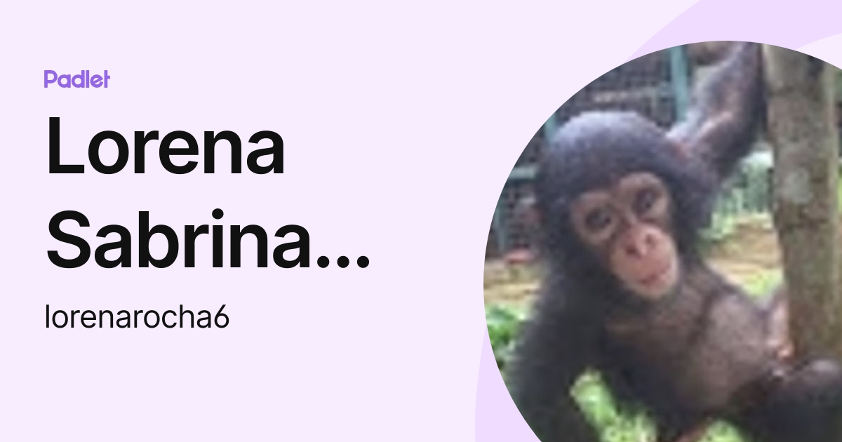 Lorena Sabrina Rocha Gonz Lez Lorenarocha6 Profile Padlet