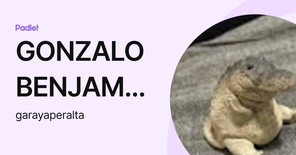 GONZALO BENJAM N ARAYA PERALTA (garayaperalta) profile | Padlet